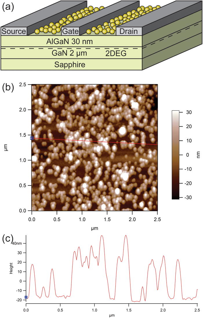 Erratum: “Kinase detection with gallium nitride based high electron ...