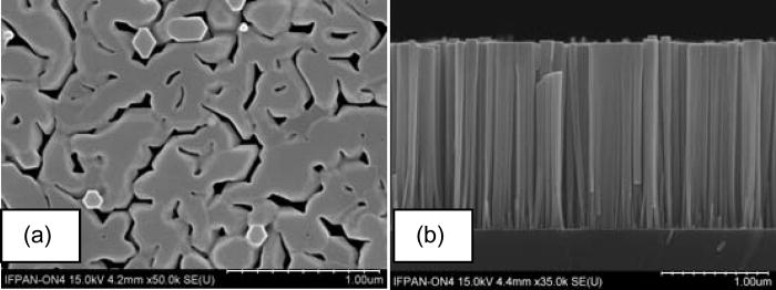 Electrical characterization of ensemble of GaN nanowires grown by the ...