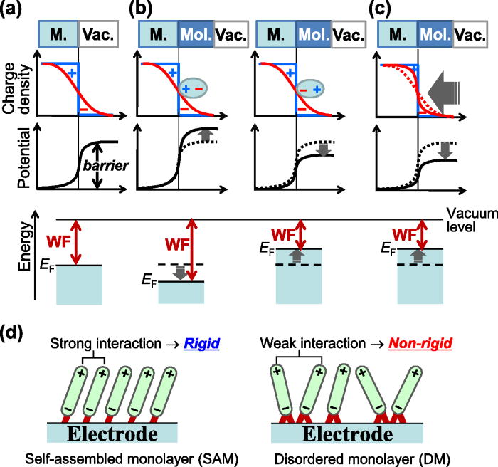 Reversible switching of charge injection barriers at metal/organic ...