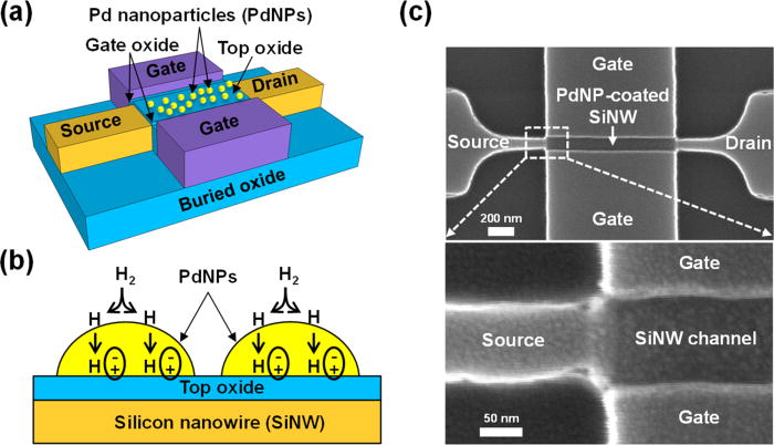 Palladium nanoparticle decorated silicon nanowire field-effect ...