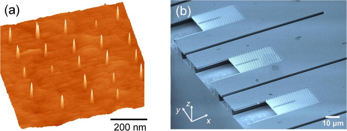 On-chip generation and guiding of quantum light from a site-controlled ...