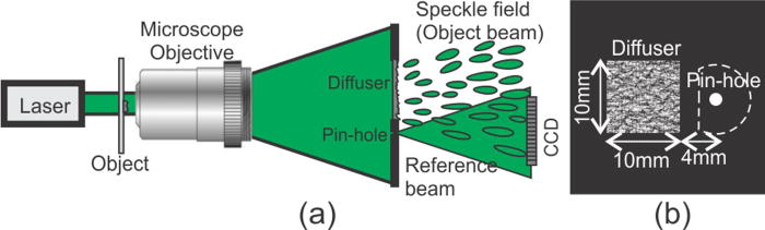 Single beam Fourier transform digital holographic quantitative phase ...