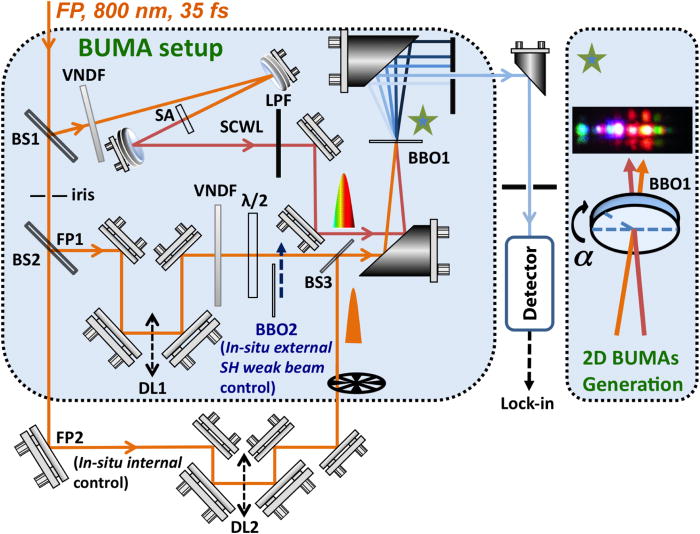 In-situ weak-beam and polarization control of multidimensional laser ...