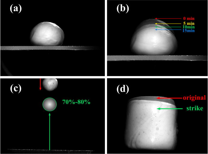 Strain rate-induced phase transitions in an impact-hardening polymer ...