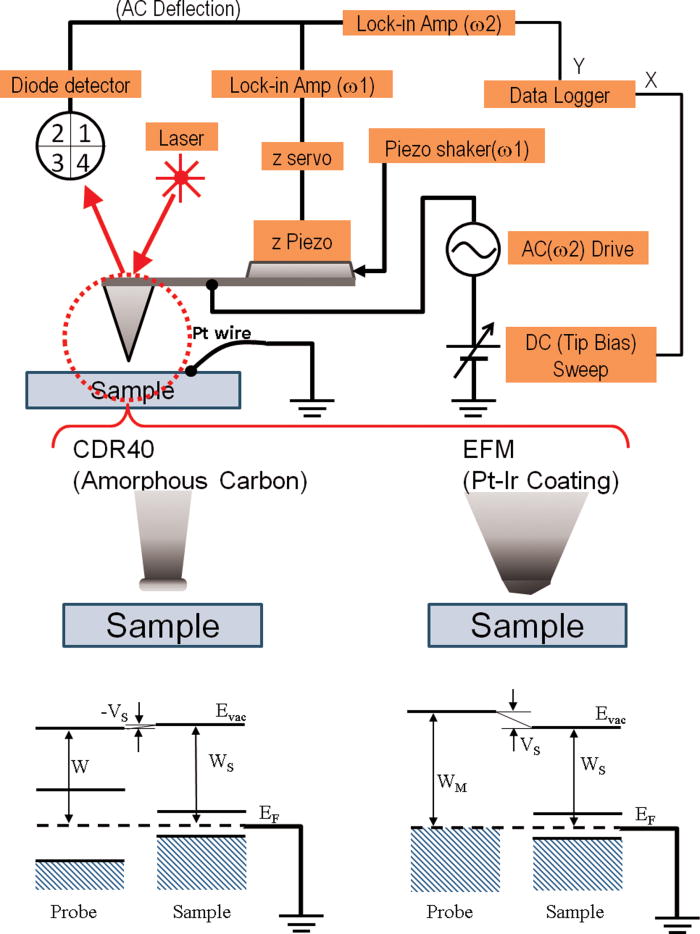 Surface band-bending and Fermi-level pinning in doped Si observed by ...