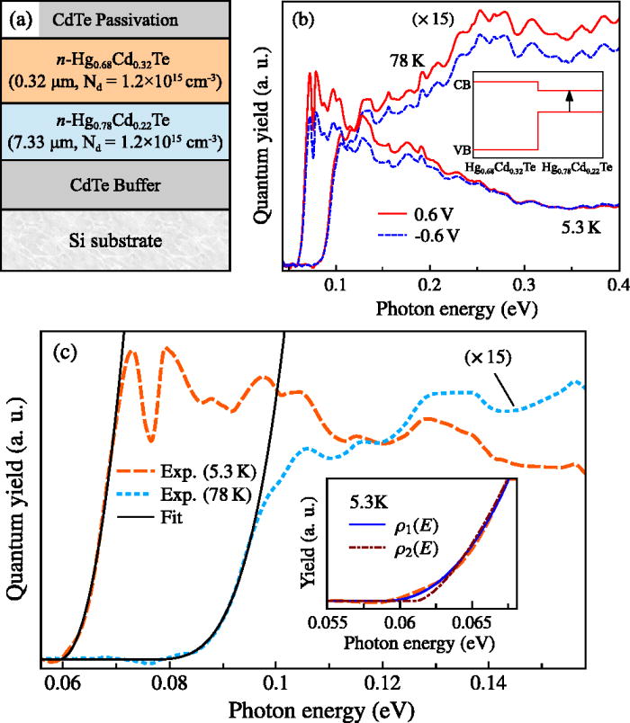 Optical study of HgCdTe infrared photodetectors using internal ...