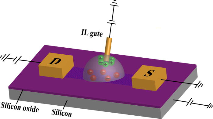 Formation of p-n-p junction with ionic liquid gate in graphene ...