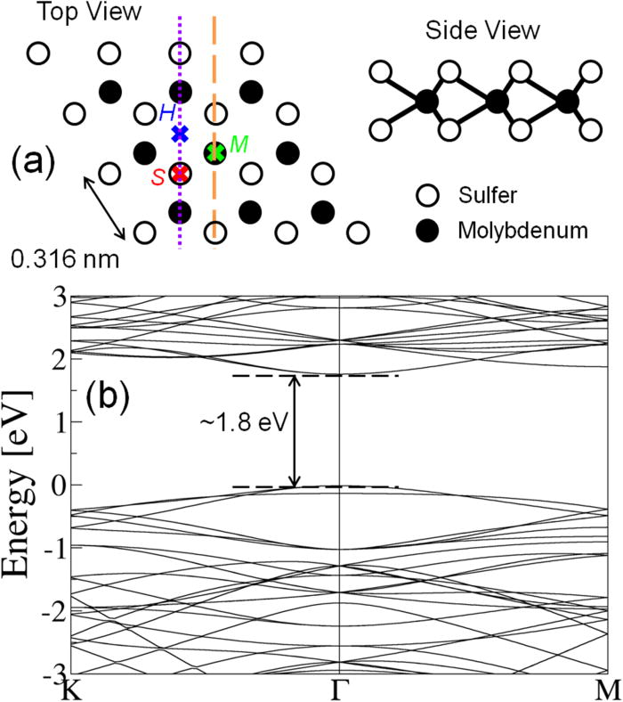 Atomistic Simulation Of The Electronic States Of Adatoms In Monolayer