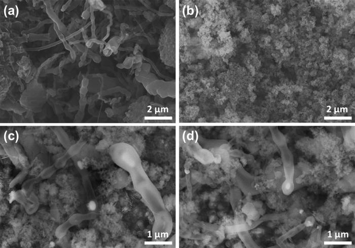 Excellent Oxidation Endurance Of Boron Nitride Nanotube Field Electron Emitters Applied