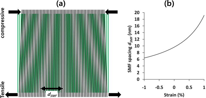 Direct observation of nanometer-scale strain field around CoSi2/Si ...