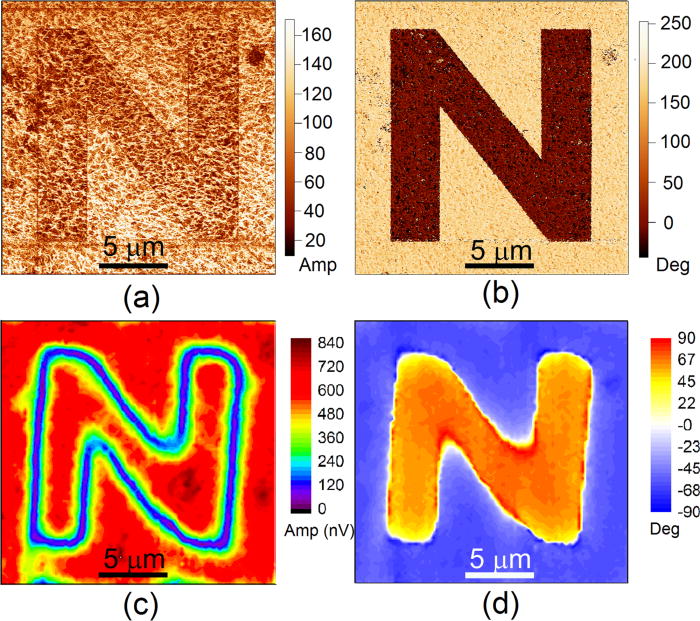 Polarization imaging in ferroelectric polymer thin film capacitors by ...