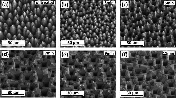 Enhanced performance of solar cells with optimized surface recombination and efficient photon ...