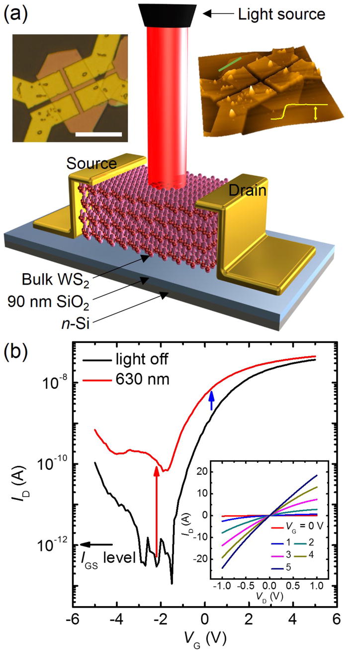High-performance photocurrent generation from two-dimensional WS2 field ...