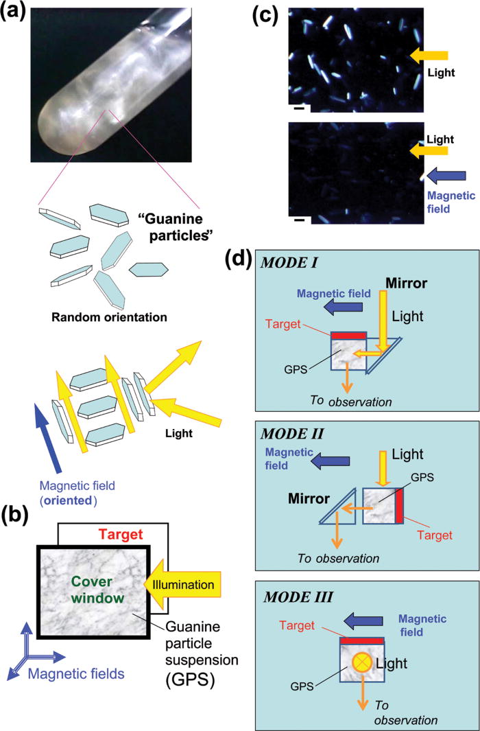 Rapid magnetic wiper featuring biogenic guanine particles: Magnetic non ...