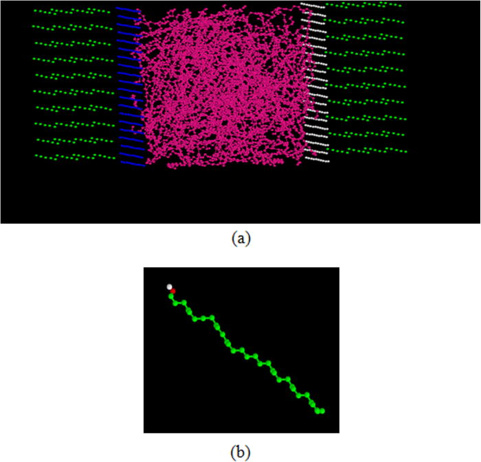 Dynamic Rectification In A Thermal Diode Based On Fluid Solid Interfaces Contrasting Behavior