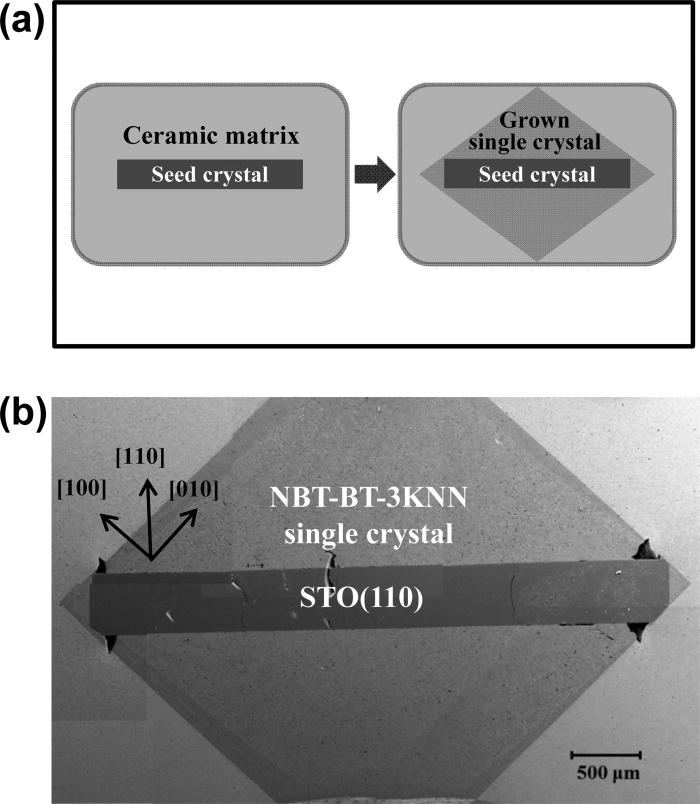 Solid-state conversion of (Na1/2Bi1/2)TiO3-BaTiO3-(K1/2Na1/2)NbO3 ...