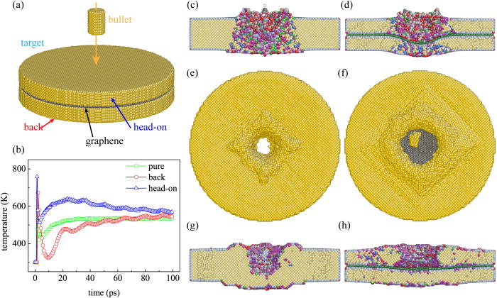 Strengthening metal nanolaminates under shock compression through dual ...