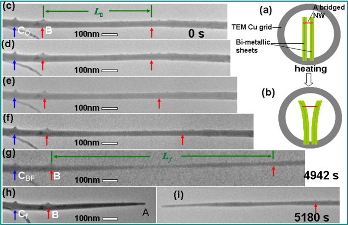 Strong strain rate effect on the plasticity of amorphous silica nanowires | Applied Physics ...