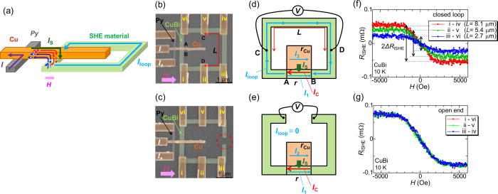 Inverse spin Hall effect in a closed loop circuit | Applied Physics ...