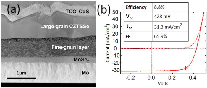 Employing Time Resolved Terahertz Spectroscopy To Analyze Carrier Dynamics In Thin Film Cu2znsn