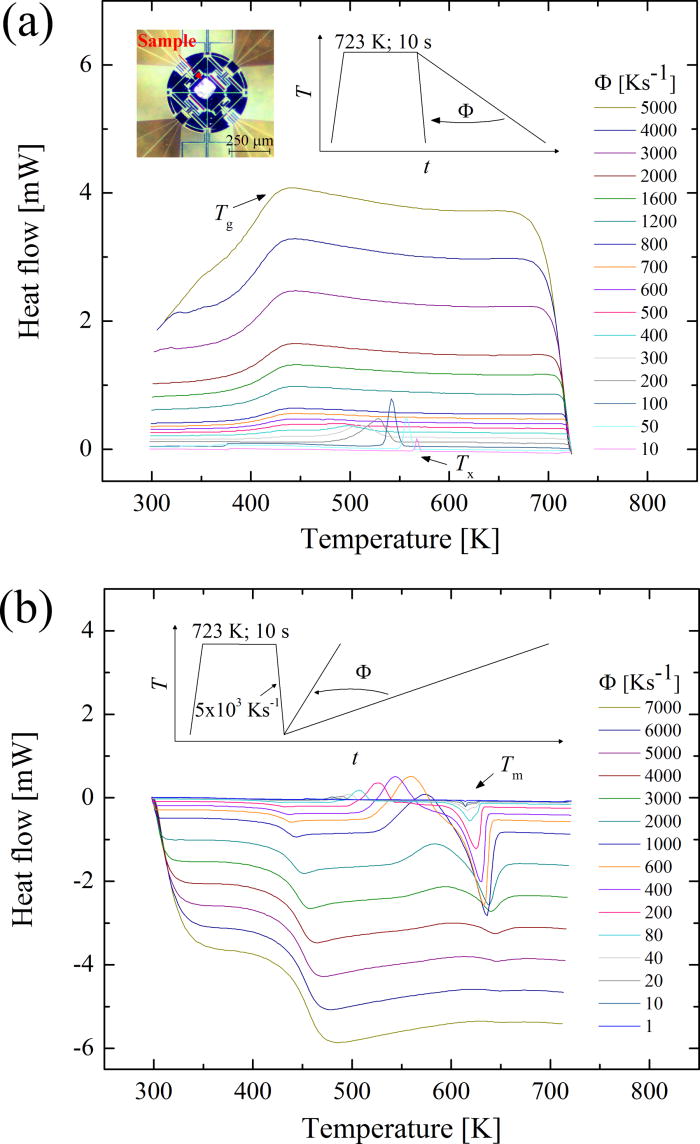 In-situ probing of metallic glass formation and crystallization upon ...