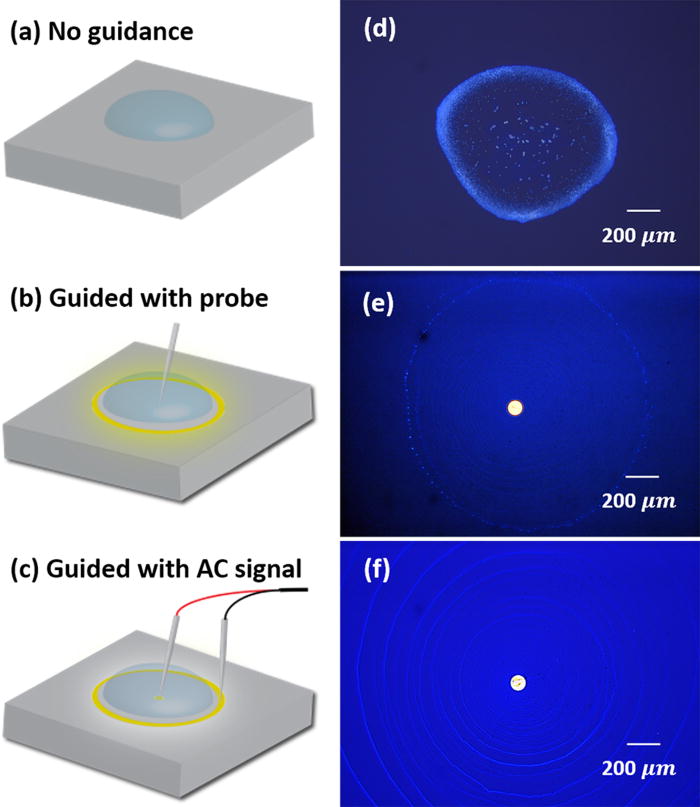 Concentric rings of polystyrene and titanium dioxide nanoparticles patterned by alternating ...