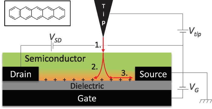 Scanning tunnelling microscopy on organic field-effect transistors ...