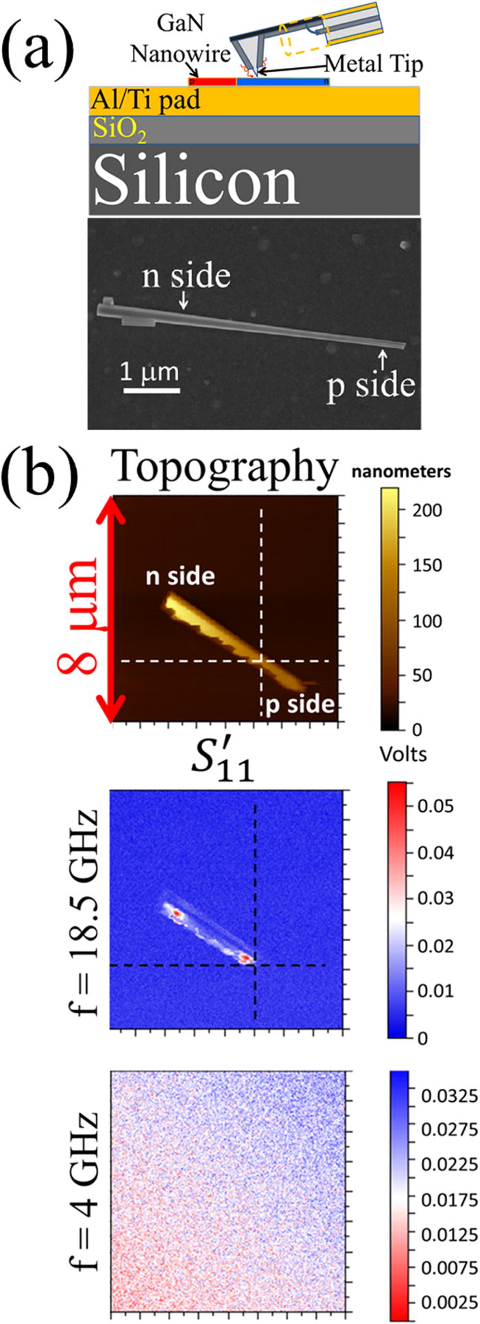 Imaging the p-n junction in a gallium nitride nanowire with a scanning ...