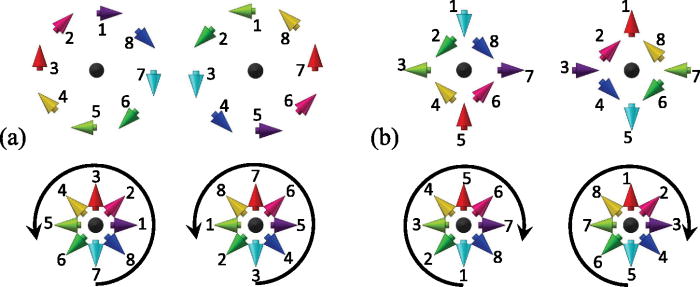 Stabilizing a magnetic vortex/antivortex array in single crystalline Fe ...