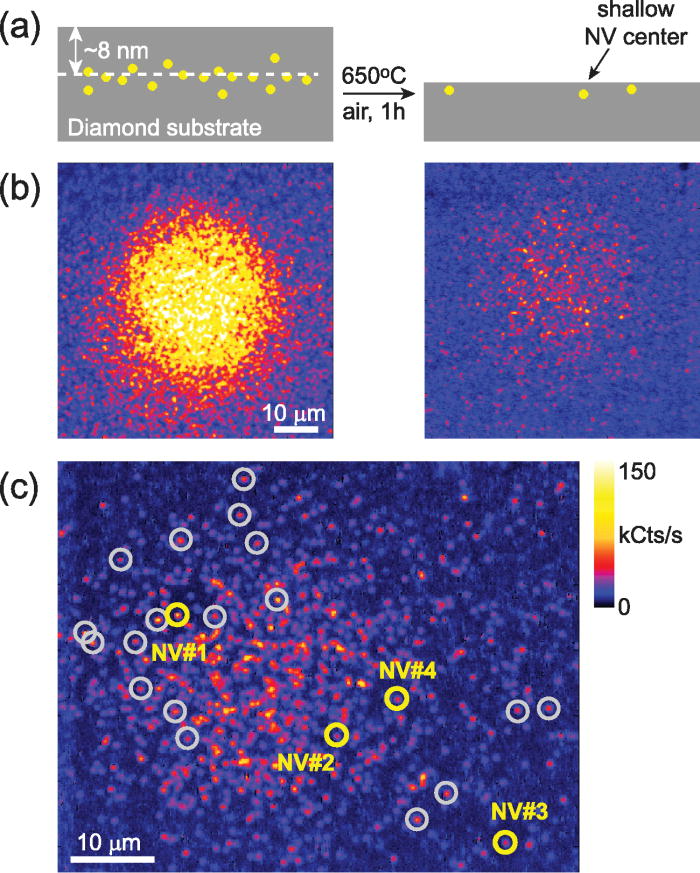 Nanoscale nuclear magnetic resonance with a 1.9-nm-deep nitrogen ...