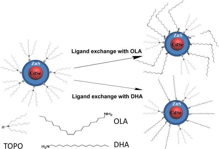 Negative differential resistance phenomena in colloidal quantum dots ...