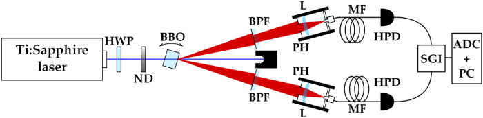Absolute calibration of photon-number-resolving detectors with an analog output using twin beams ...