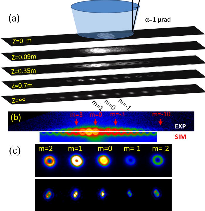 Highly efficient electron vortex beams generated by nanofabricated phase holograms | Applied ...