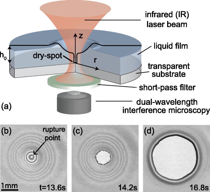 Infrared laser induced rupture of thin liquid films on stationary ...