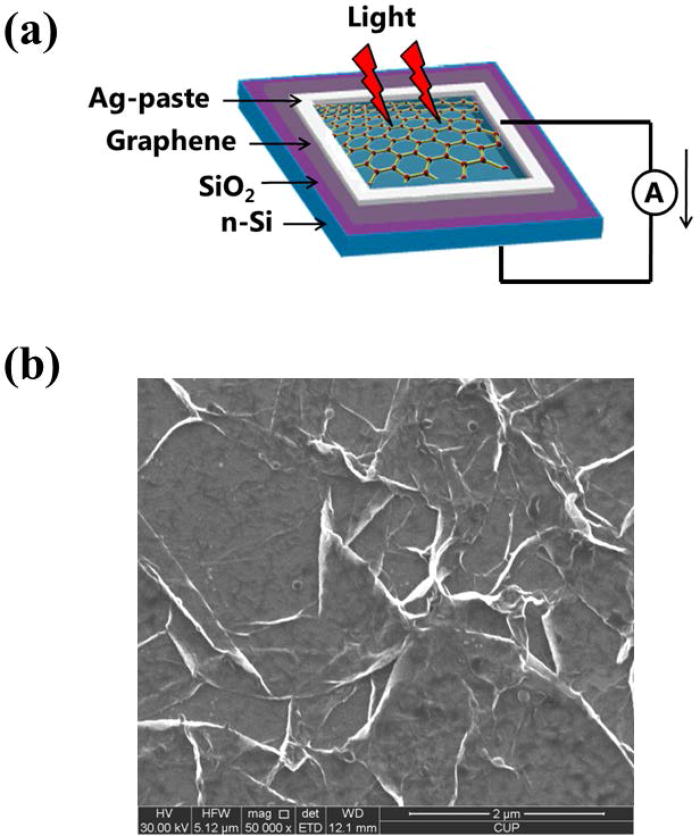 Mode switching in a multi-wavelength distributed feedback quantum ...