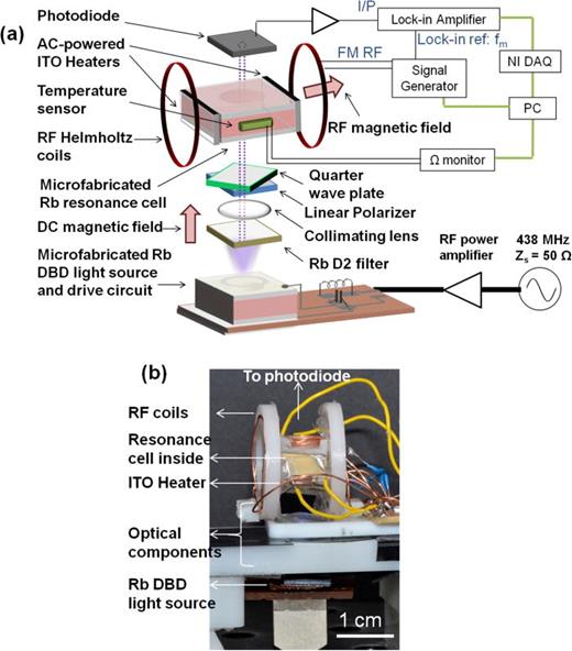 Optical pumping in a microfabricated Rb vapor cell using a ...