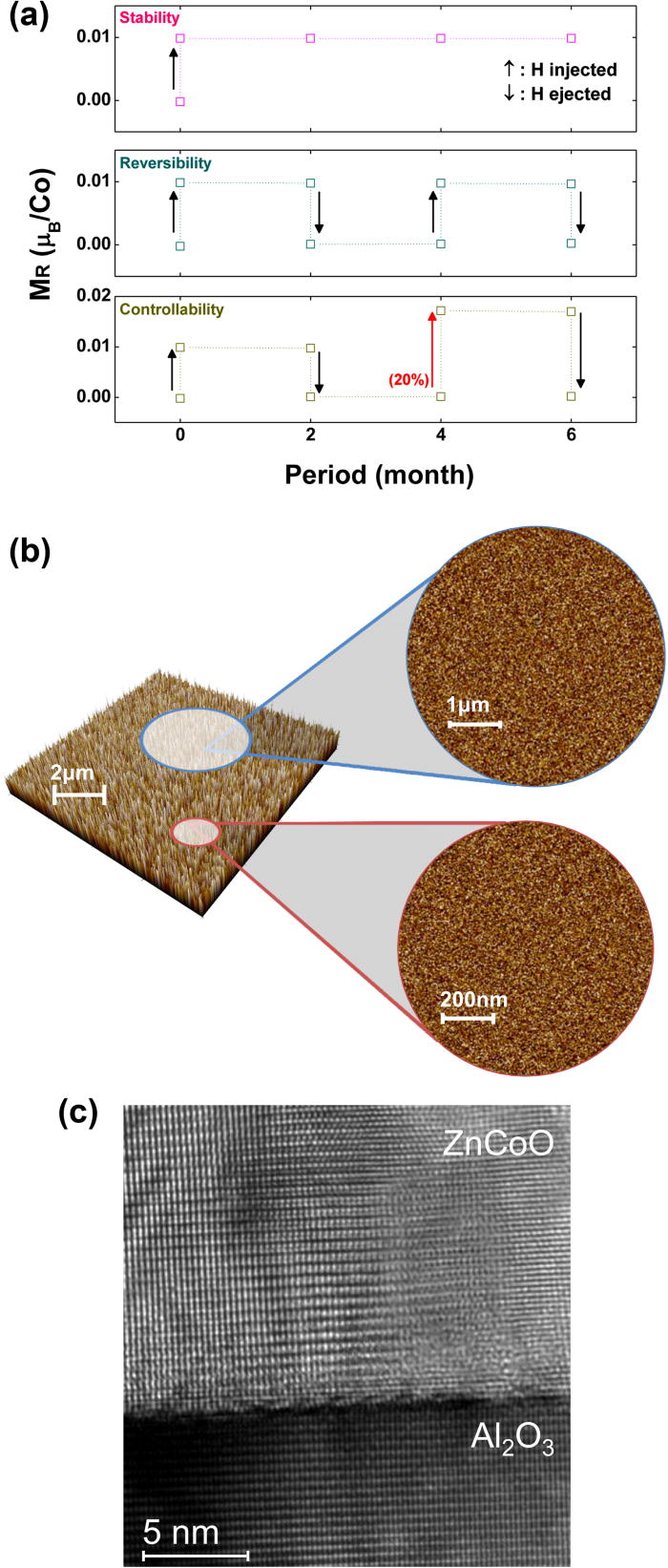 Hydrogen lithography for nanomagnetic domain on Co-doped ZnO using an ...