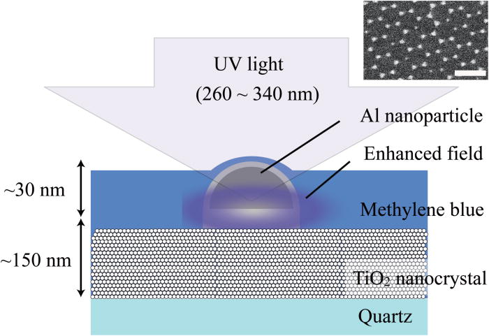 Plasmon-enhanced UV photocatalysis | Applied Physics Letters | AIP ...