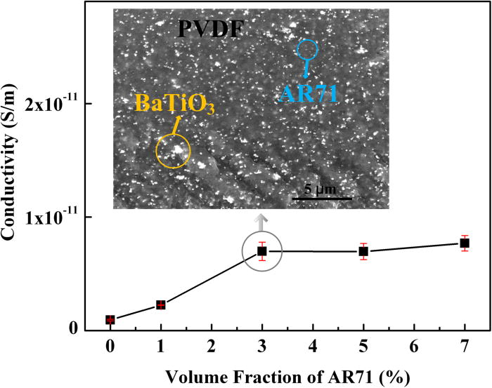 Poly(vinylidene fluoride) polymer based nanocomposites with enhanced ...