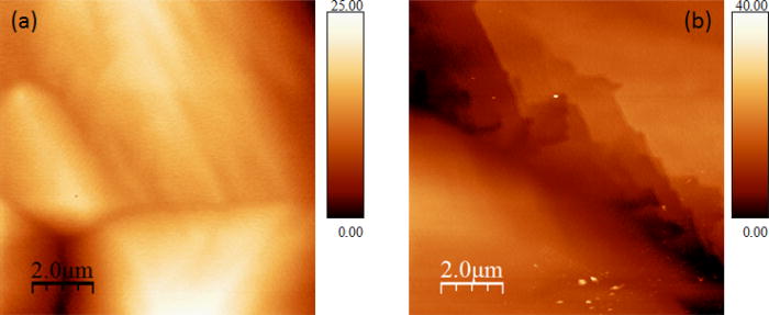 Influence of substrate miscut angle on surface morphology and ...