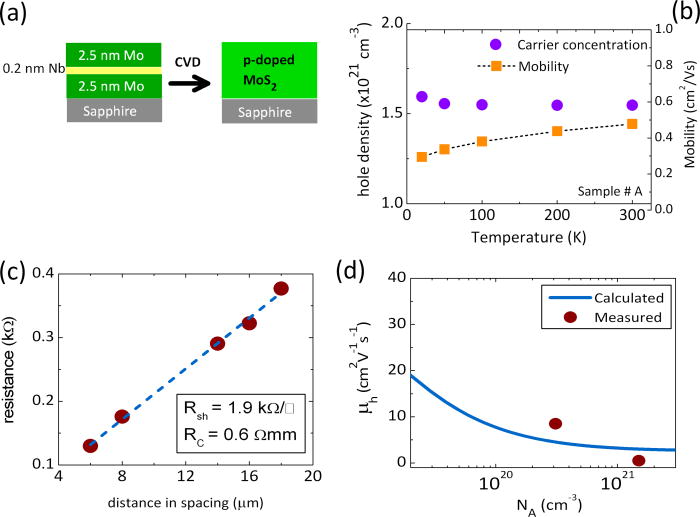 p-type doping of MoS2 thin films using Nb | Applied Physics Letters ...