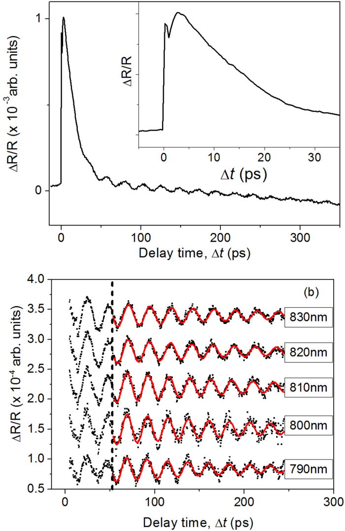Coherent acoustic phonon generation in GaAs1−xBix | Applied Physics ...