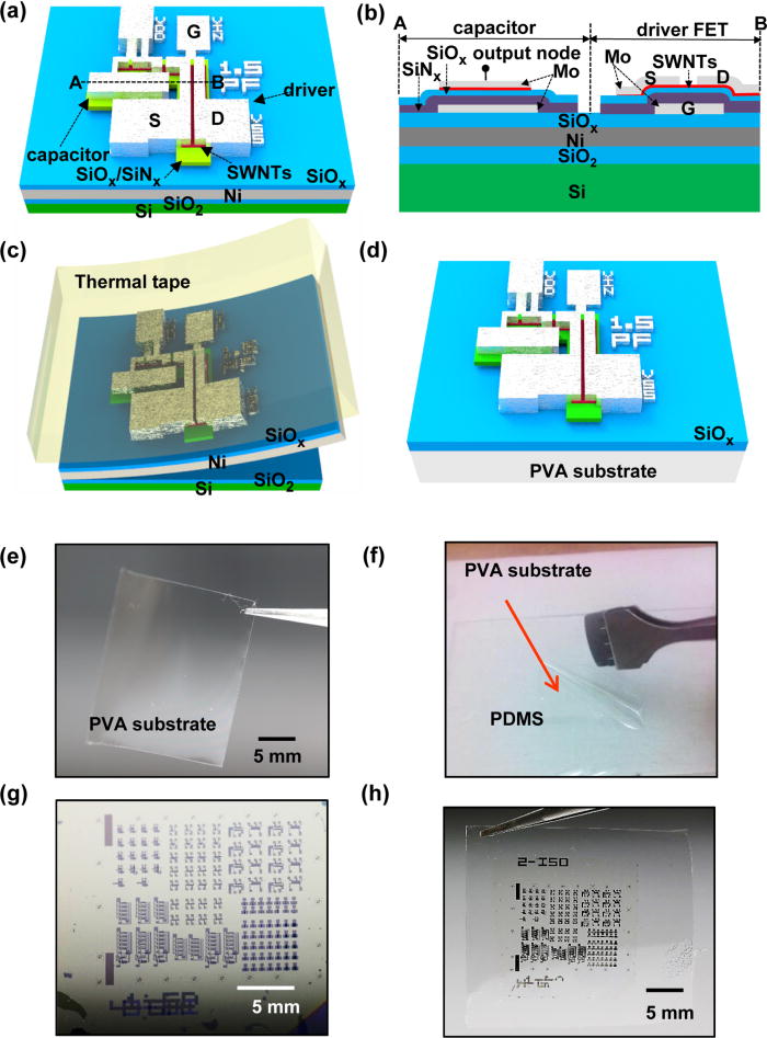 Solution-processed single-walled carbon nanotube field effect ...