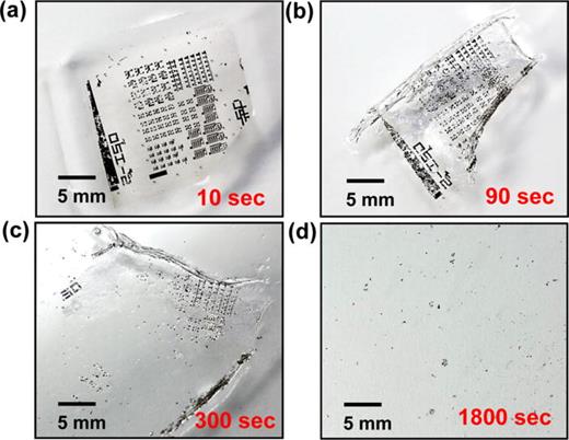 Solution-processed single-walled carbon nanotube field effect ...
