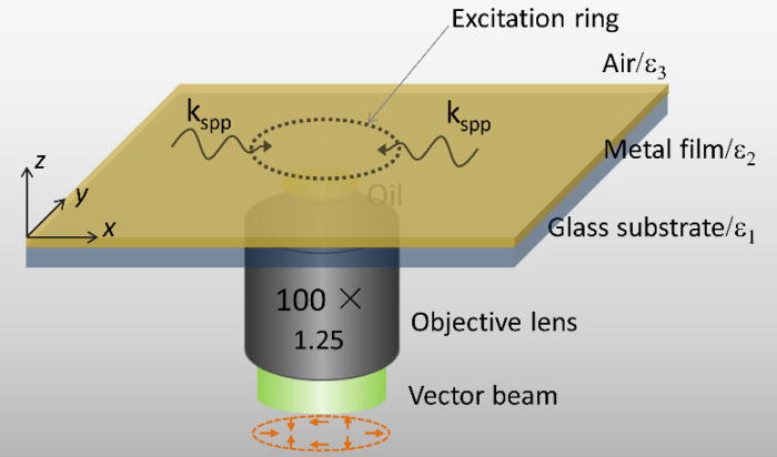 Dynamic plasmonic beam shaping by vector beams with arbitrary locally ...