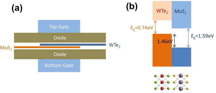 Operating principles of vertical transistors based on monolayer two ...