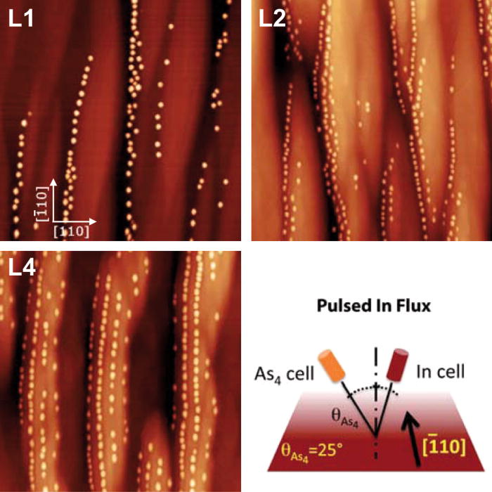 Manipulating surface diffusion and elastic interactions to obtain ...