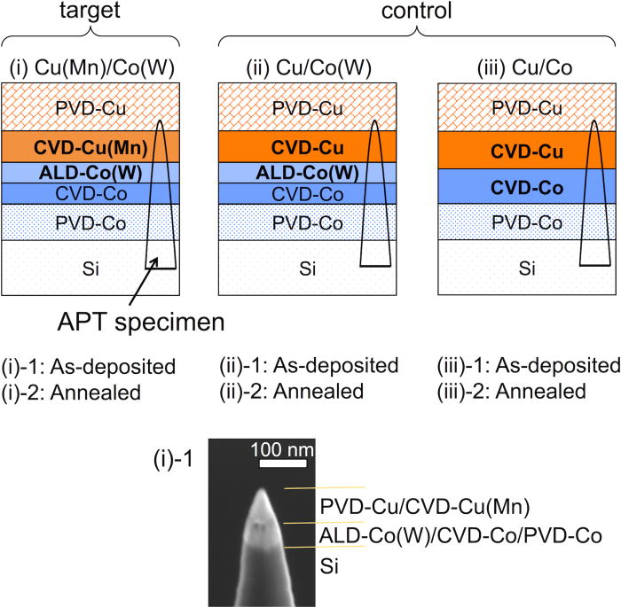 Role of W and Mn for reliable 1X nanometer-node ultra-large-scale ...