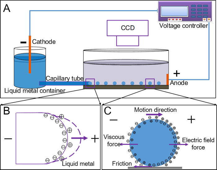 Electro-hydrodynamic shooting phenomenon of liquid metal stream ...
