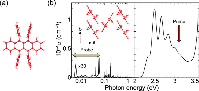 Carrier dynamics of rubrene single-crystals revealed by transient ...